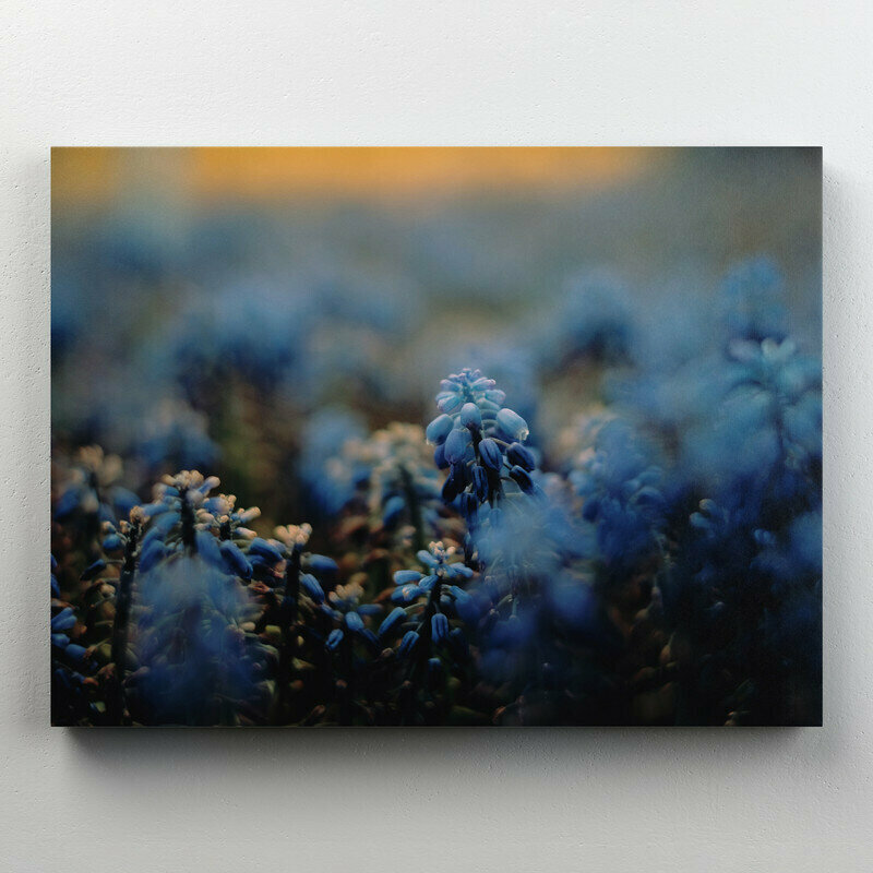 Интерьерная картина на холсте "Голубые цветы на закате" размер 40x30 см