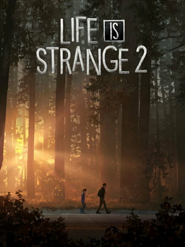 Плакат, постер Life Is Strange 2 на бумаге, размер 21х30см