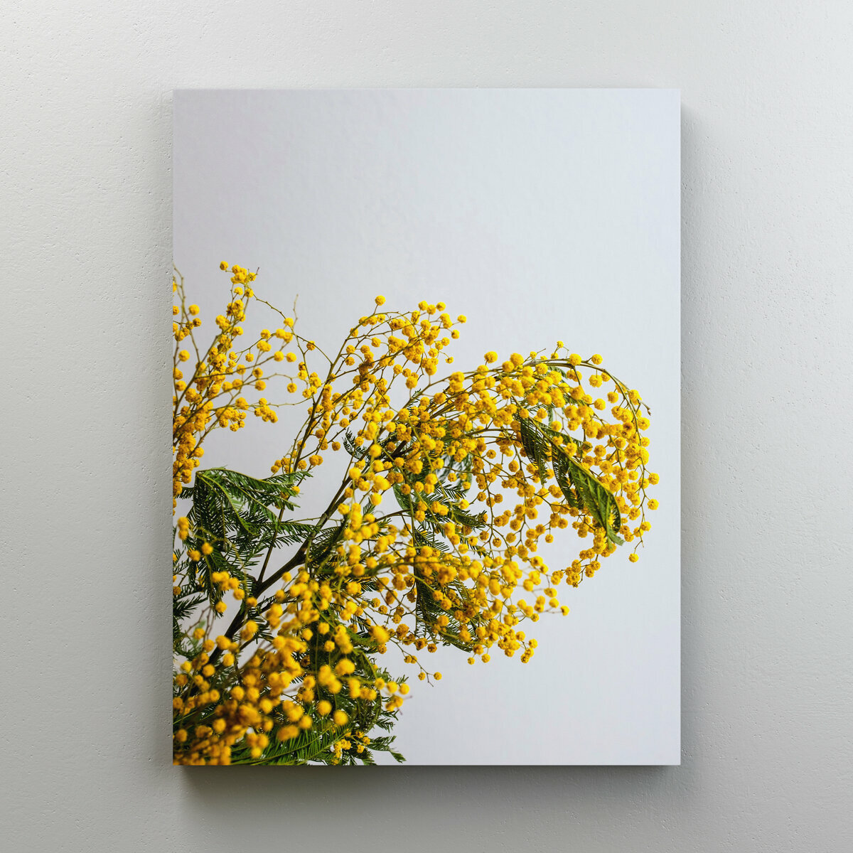 Интерьерная картина на холсте "Весенняя мимоза" растения, размер 22x30 см