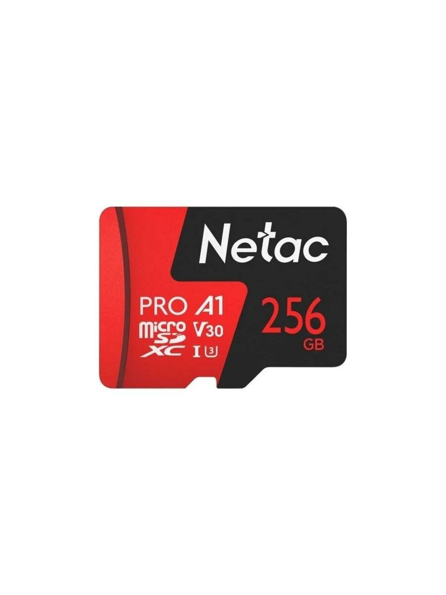 Флеш карта Netac P500 (NT02P500PRO-256G-R)