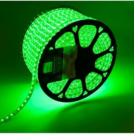 Светодиодная лента Neon-night 220 В, 13х8 мм, IP67, SMD 5050, 60 LED/м, зеленое свечение, бухта 100 м