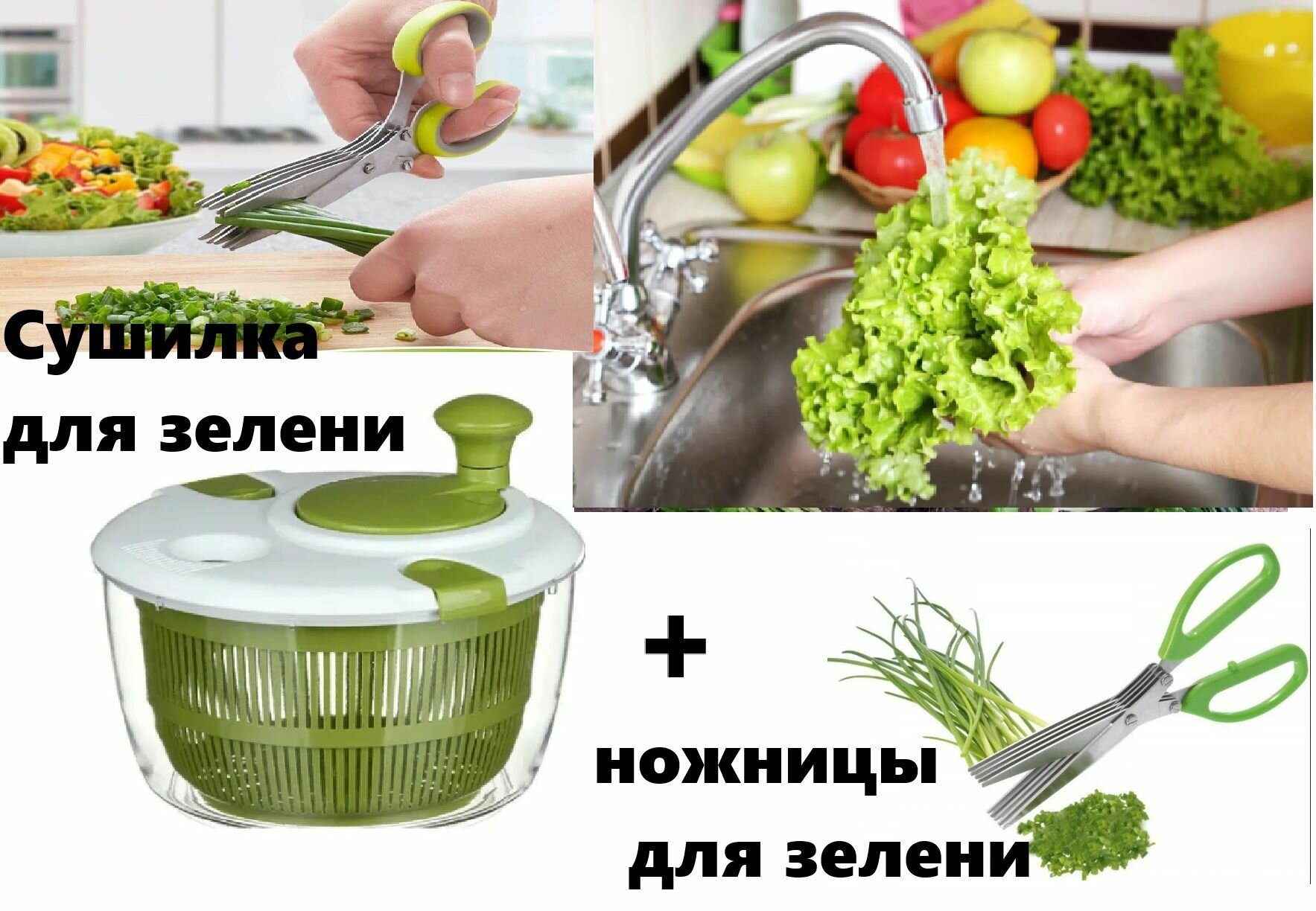 Набор "Herbs " : Сушилка Центрифуга + Ножницы для Зелени