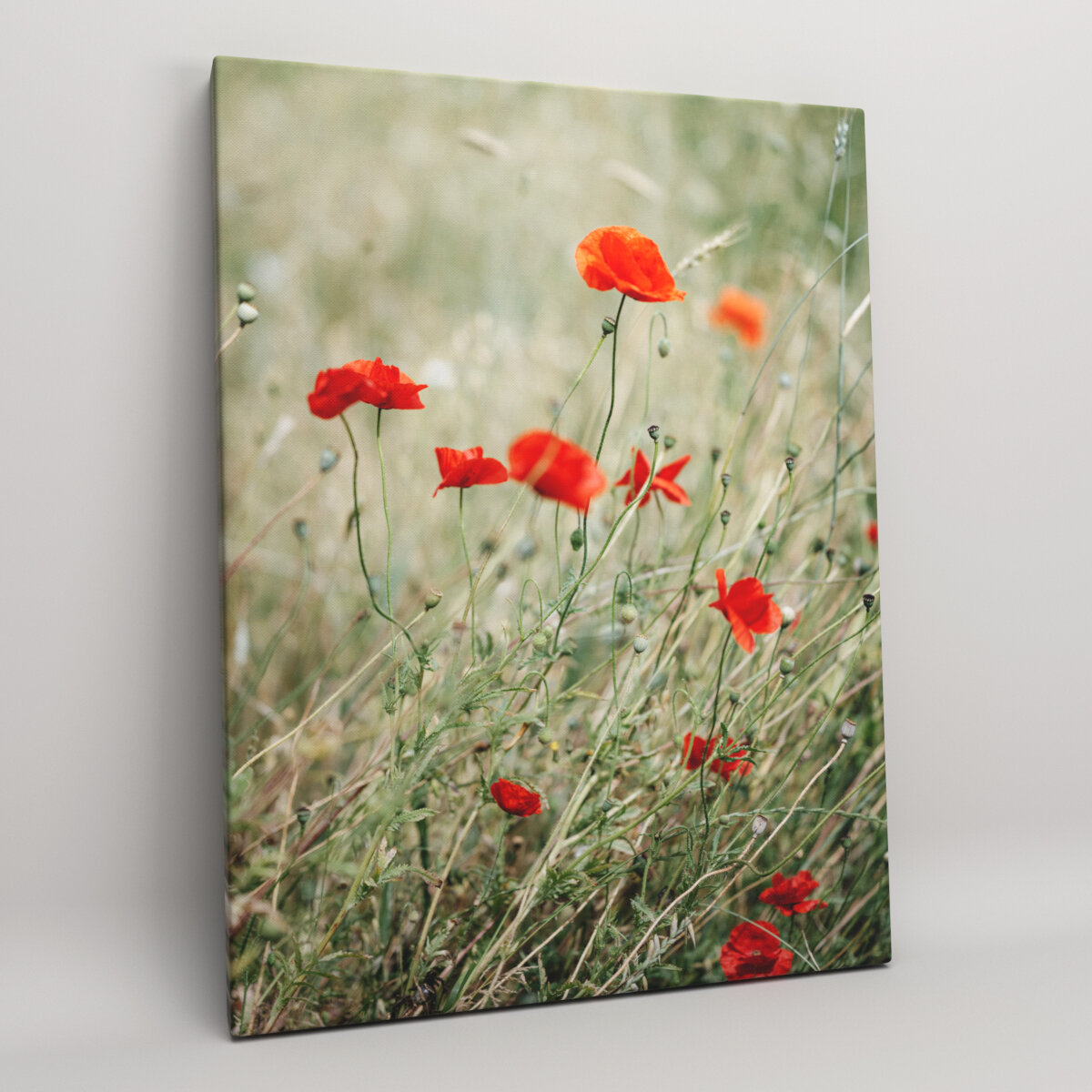 Картина на холсте (интерьерный постер) "Маки на поле" растения, с деревянным подрамником, размер 30x40 см