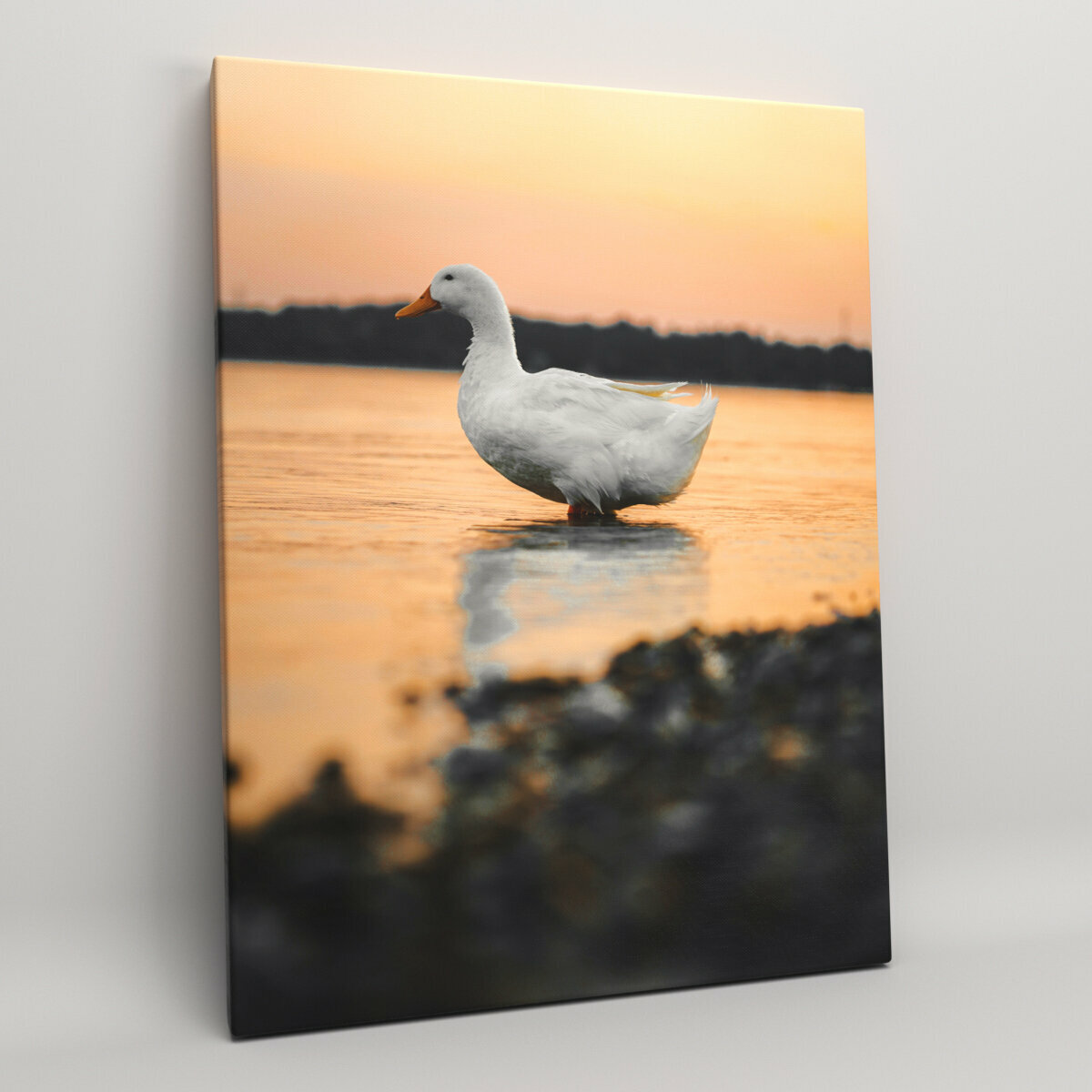 Картина на холсте (интерьерный постер) "Гусь в озере", с деревянным подрамником, размер 45x60 см