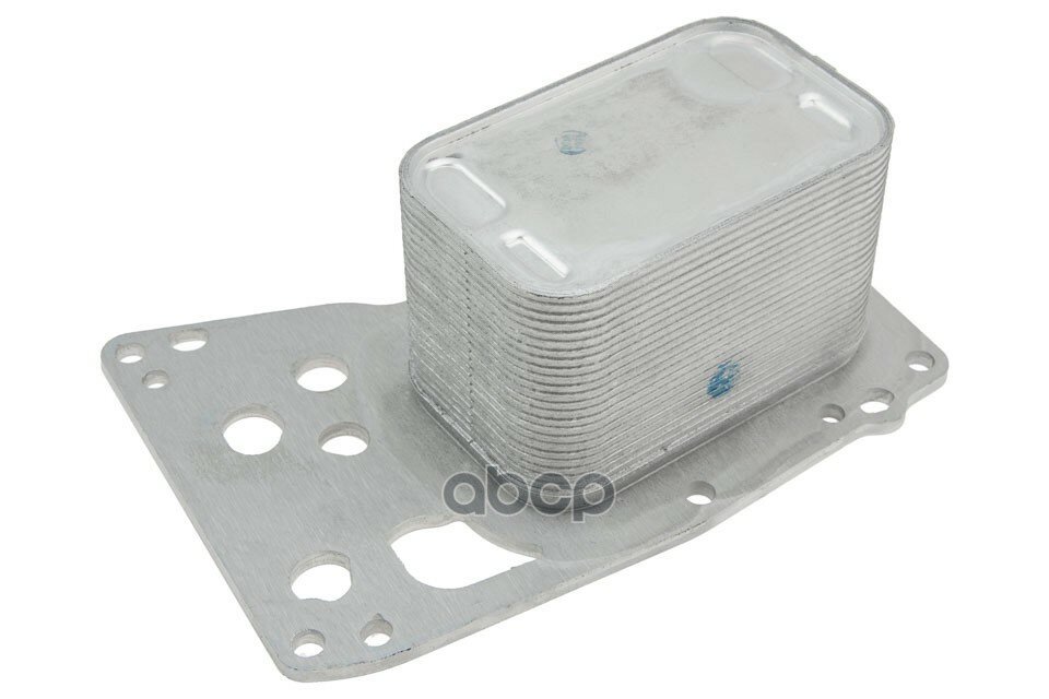 Радиатор масляный! BMW 3 F30/F31 11-19 /5 F10/F11 10-17 NTY арт. CCLBM038