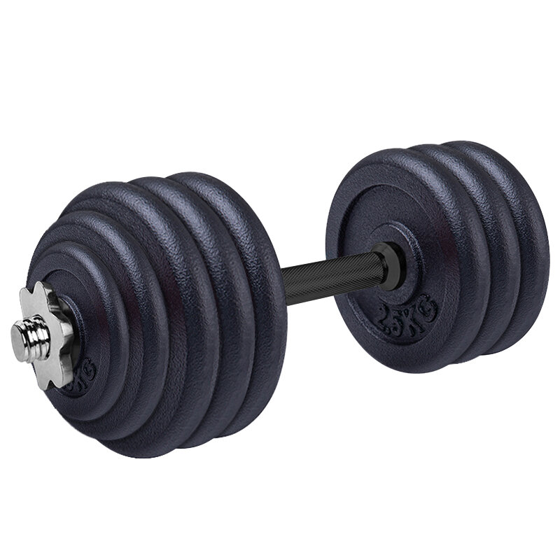 Гантель разборная чугунная 20,5 кг Voitto - d31, Комплектация №2 с обрезиненной ручкой