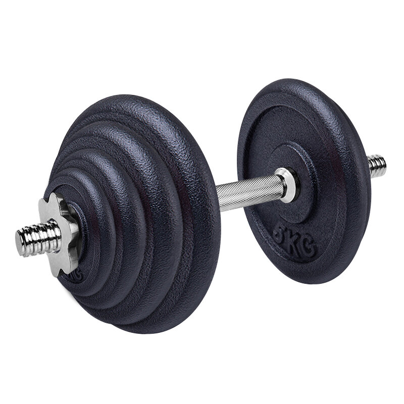 Гантель разборная чугунная 20 кг Voitto - d26, Комплектация №1 с железной ручкой