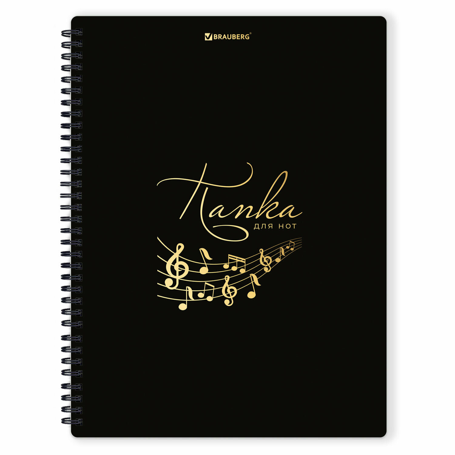 Папка-тетрадь для нот А4, 20 вкладышей на 40 страниц, на гребне, пластик, черная, BRAUBERG, 404643