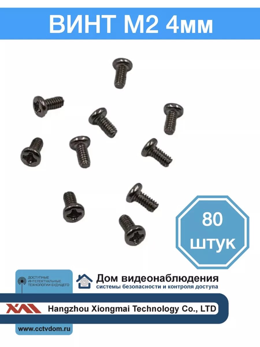 Винт M2 x 4 мм, 80 шт.