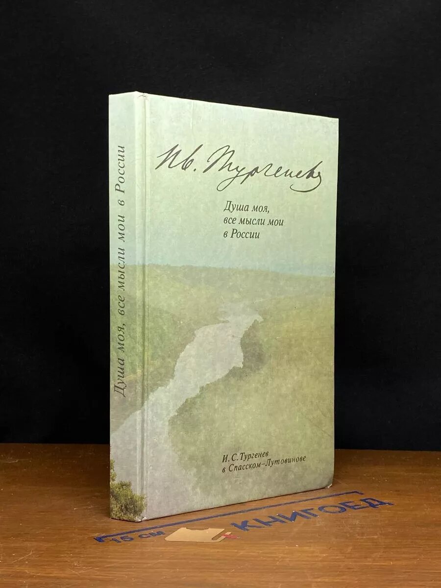 Книга. Душа моя, все мысли мои в России 1989 (2039908147348)