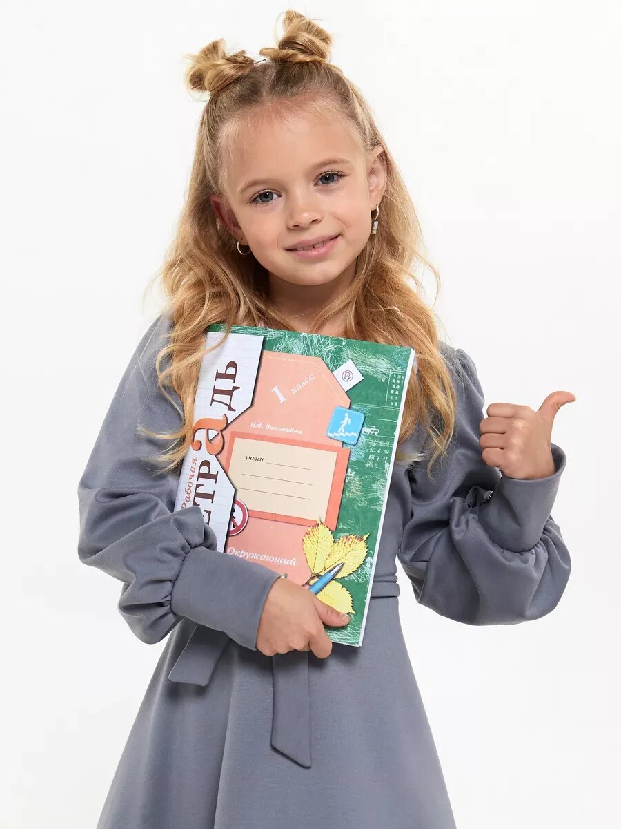 1 класс Рабочая тетрадь Виноградова Н. Ф, "Окружающий мир" Вентана-граф