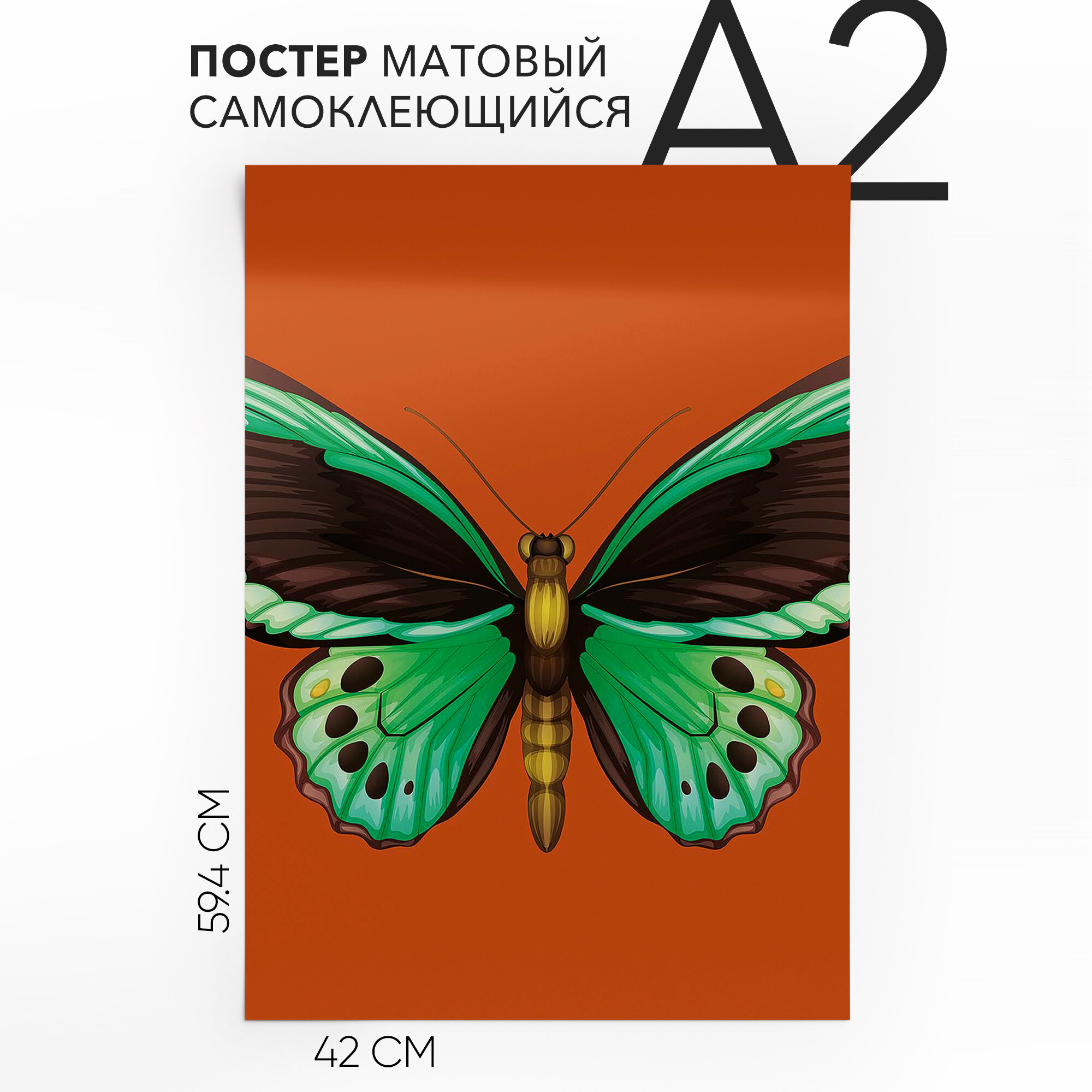 Постеры на стену самоклеящийся, большой A2 Бабочка, влагостойкий, для декора