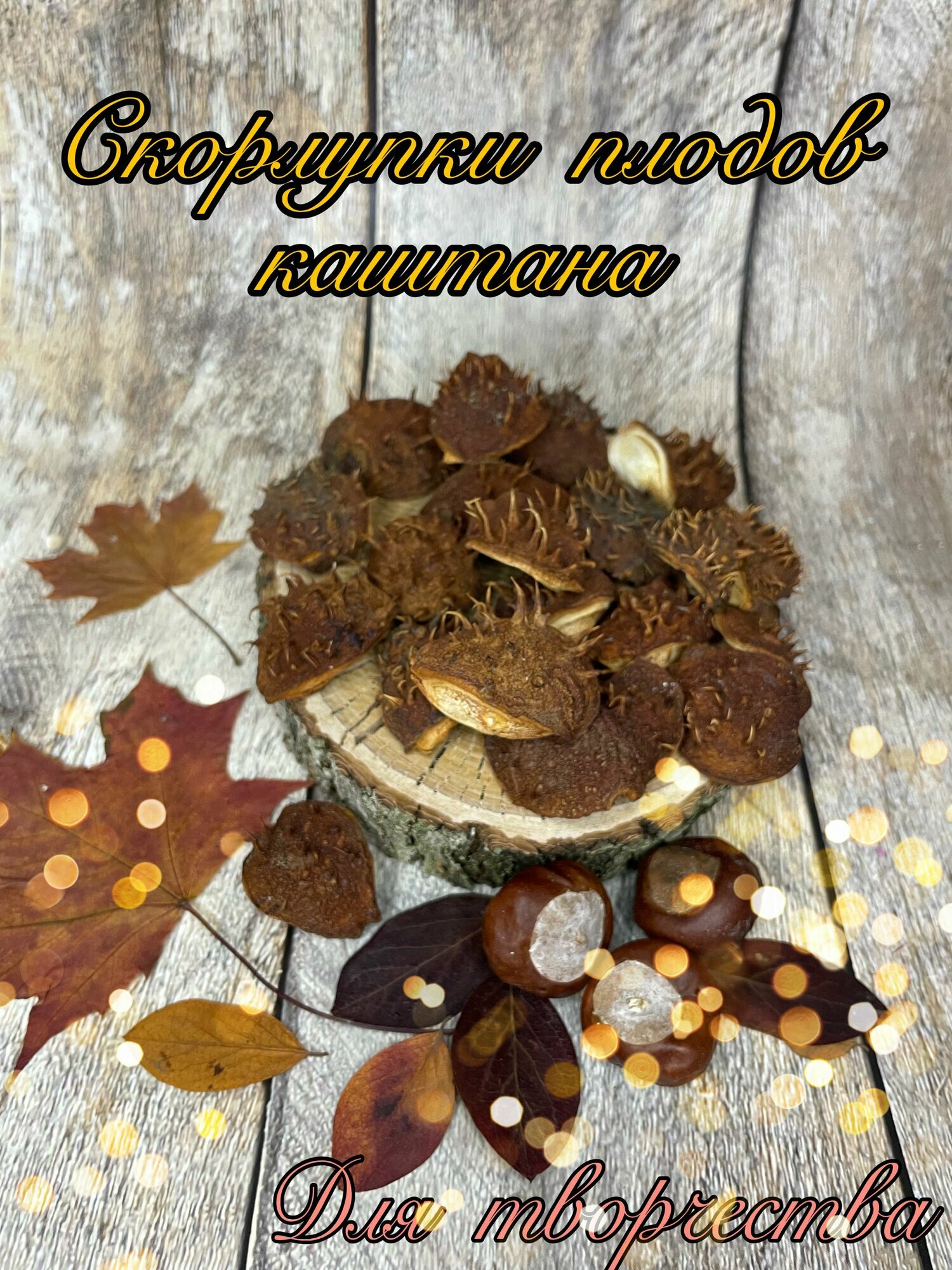 Каштановые скорлупки, для декора и поделок. 20 шт.