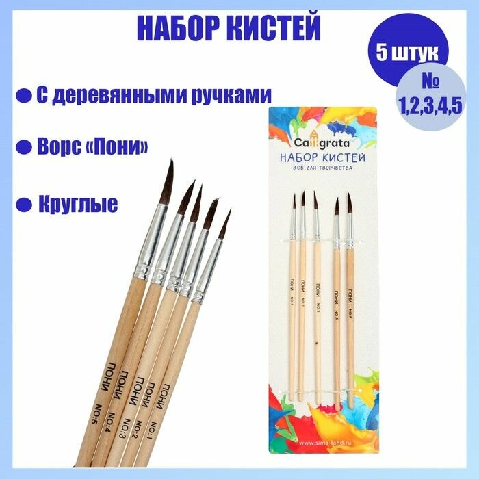 Набор кистей Calligrata пони, 5 штук, круглые: №1,2,3,4,5, с деревянными ручками