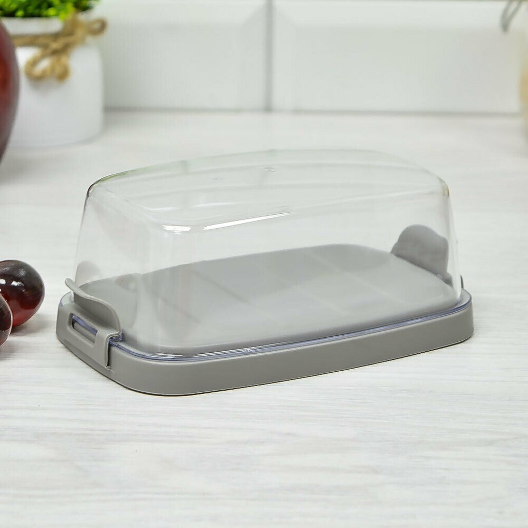 Масленка «Летиция» пластиковая с герметичной крышкой, пыльно-серая, компактный размер