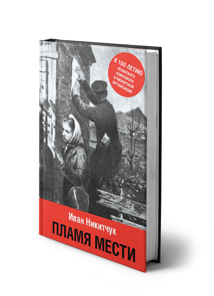 Пламя мести_Никитчук И. И. [Книга / Издательство «РОДИНА»], 384 стр.
