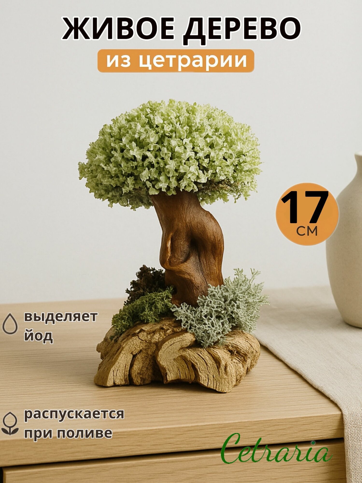 Интерьерное украшение Деревце из Цетрарии