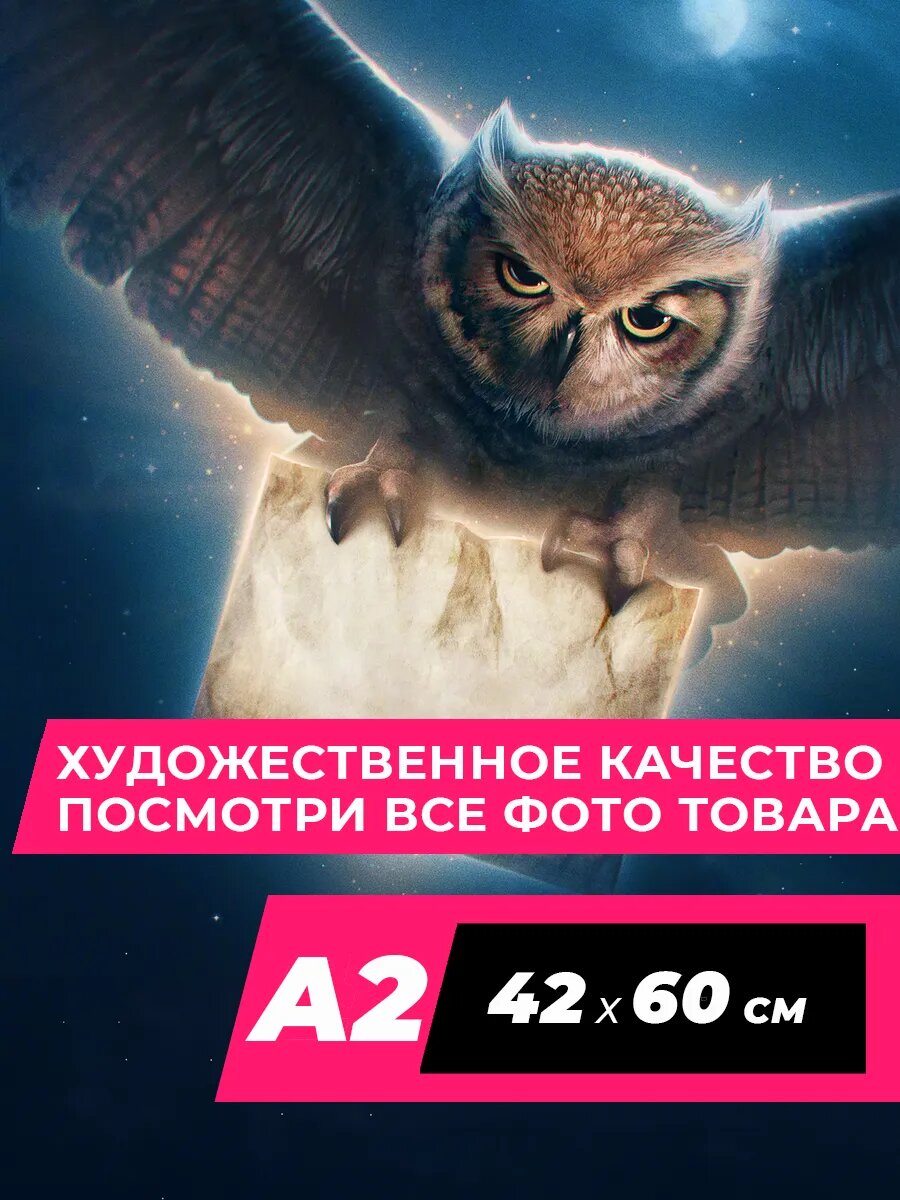 Постер Гарри Поттер Сова Бука A2, матовая фотобумага премиум качества