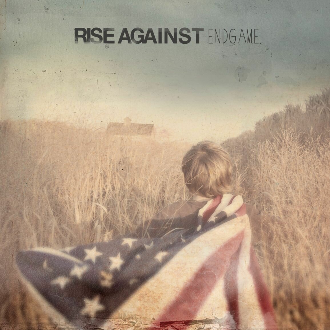 Виниловая пластинка Rise Against Endgame