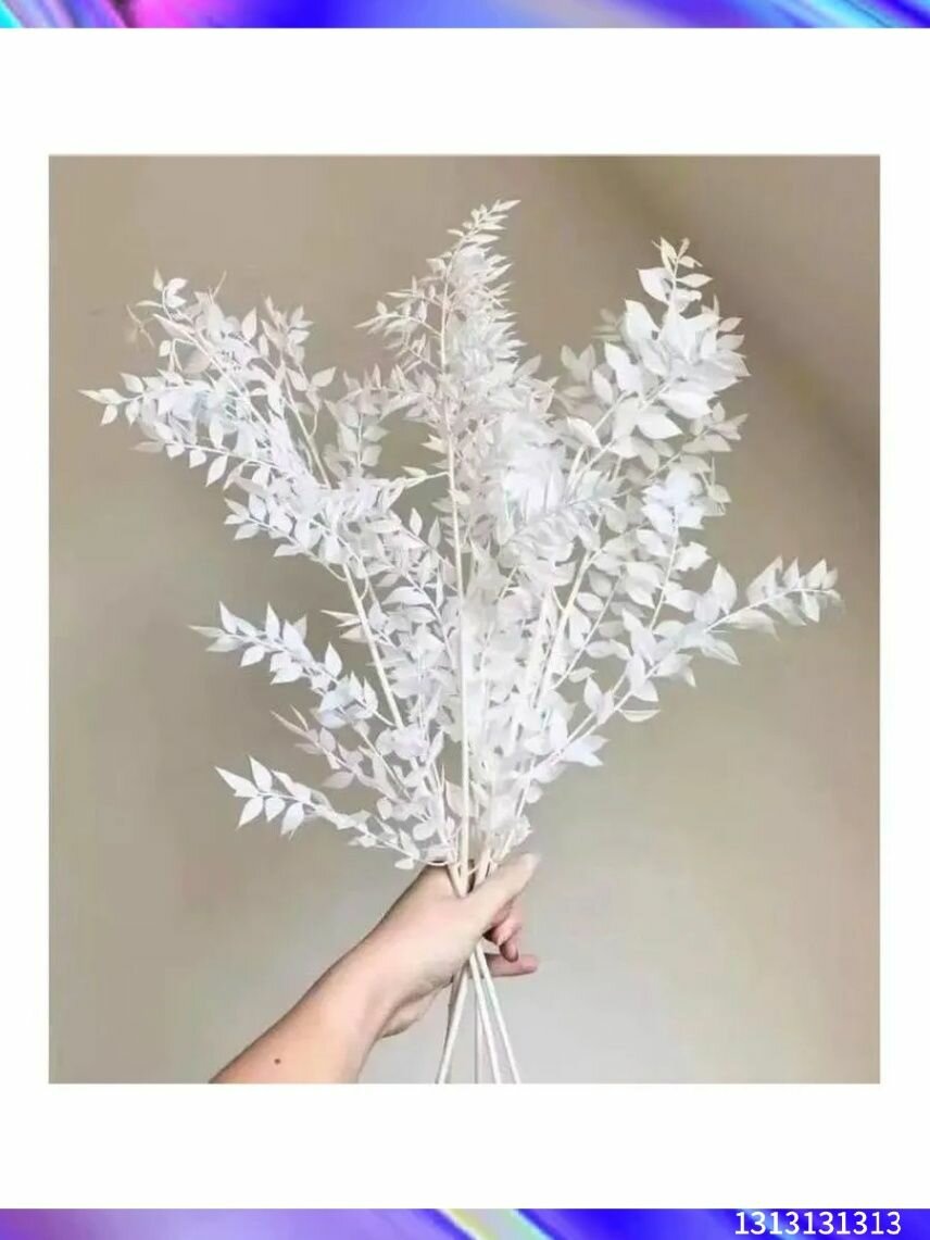 Эксклюзивный рускус 50 см сухоцвет