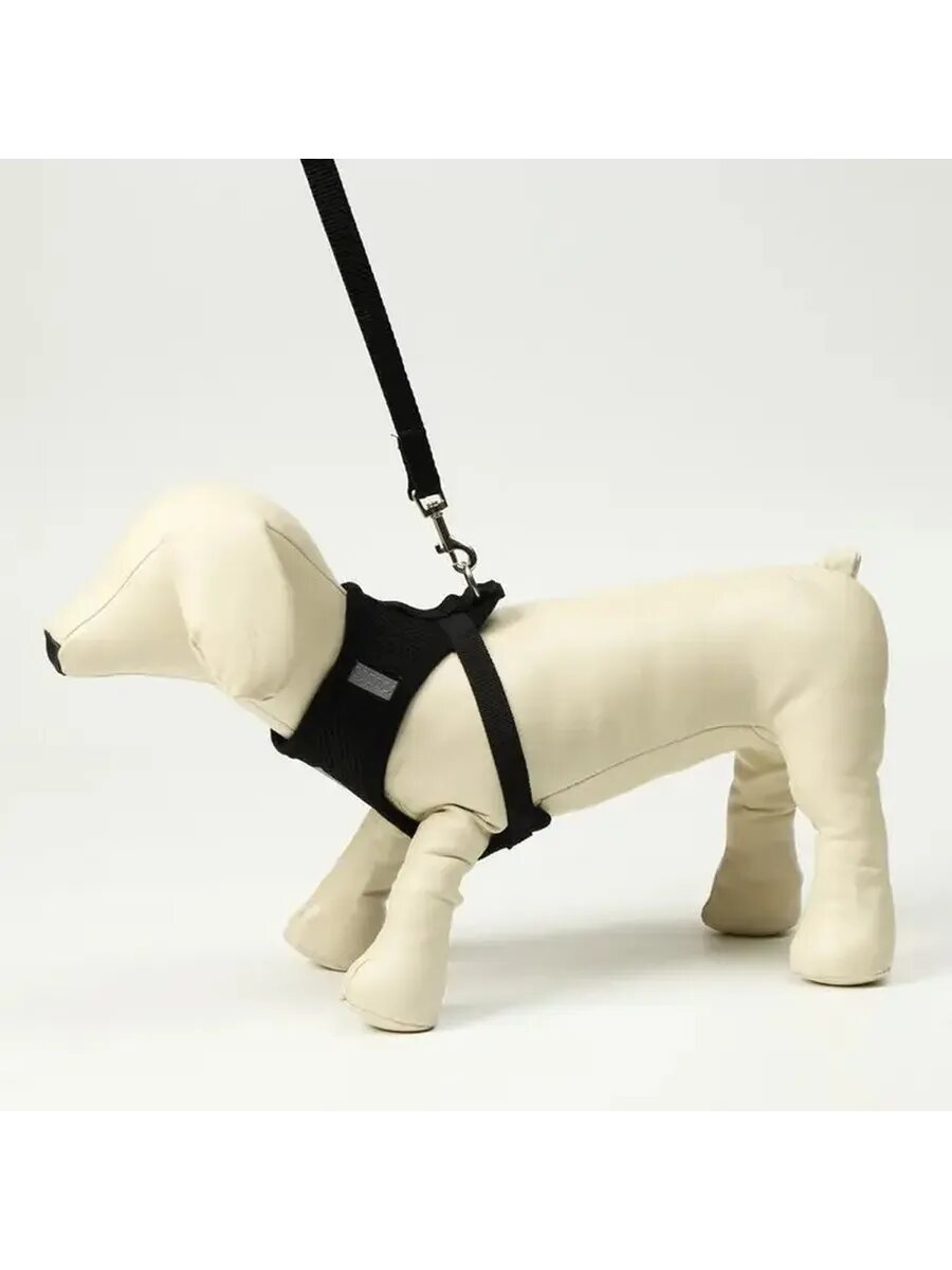 Комфортный комплект амуниции с светоотражением для собак