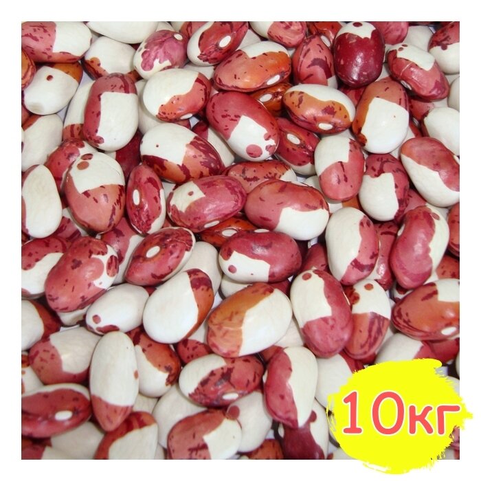 Фасоль Пионер 10 000 гр, 10 кг, Фасоль красно-белая, Фасоль очищенная натуральная, Вегетарианский продукт, Vegan