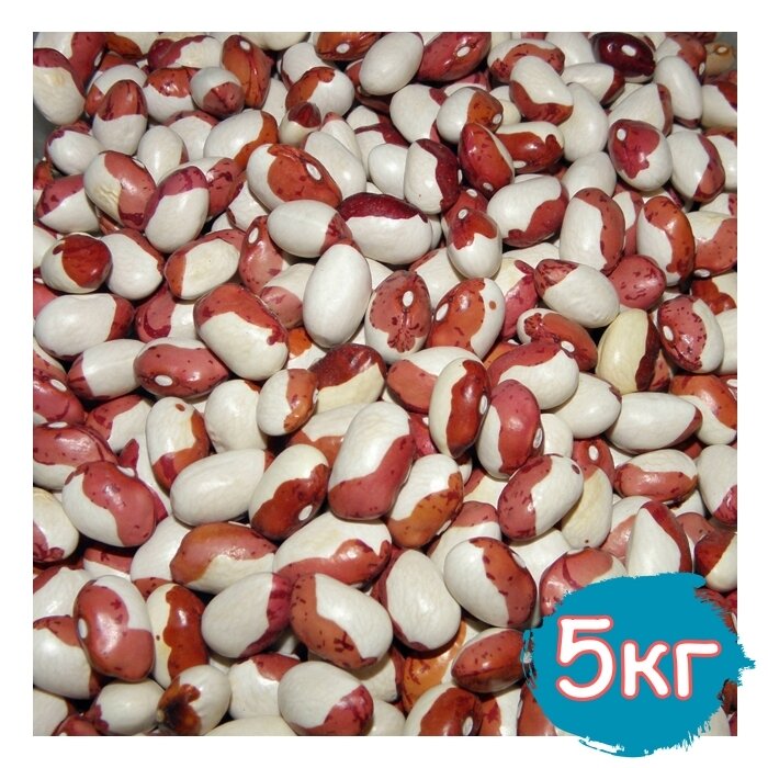 Фасоль Пионер 5 000 гр, 5 кг, Фасоль красно-белая, Фасоль очищенная натуральная, Вегетарианский продукт, Vegan