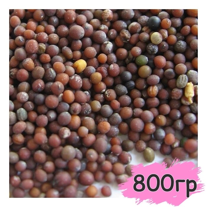 Горчичное семя коричневое, зерна горчицы, Вегетарианский продукт, Vegan 800 гр