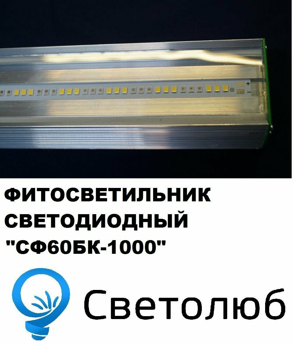 Профессиональный светодиодный фитосветильник "СФ60БК-1000"
