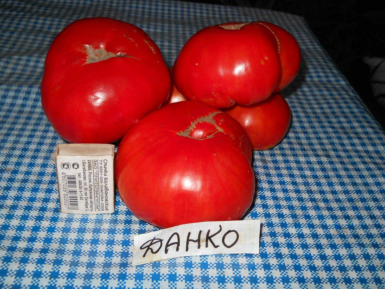 Семена Томат Данко (0.05г) — фото 1