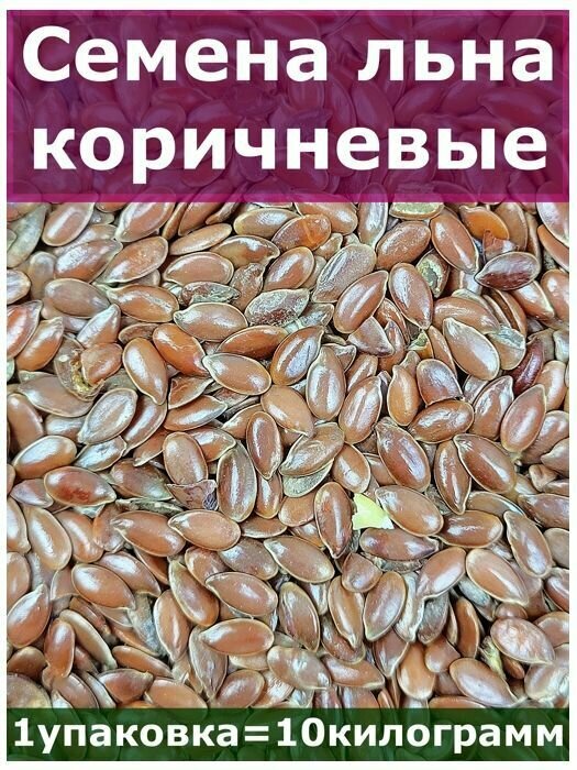 Семена льна коричневые, 10 кг, Вегетарианский продукт, Vegan