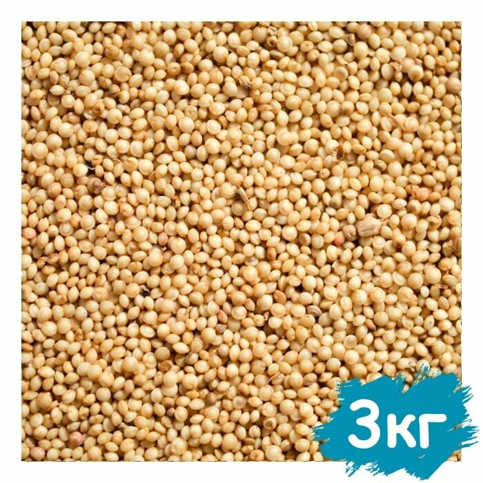 Семена амаранта 3 000 гр, 3 кг, пищевое зерно для проращивания, крупа для варки и заваривания, суперфуд для еды, амарант