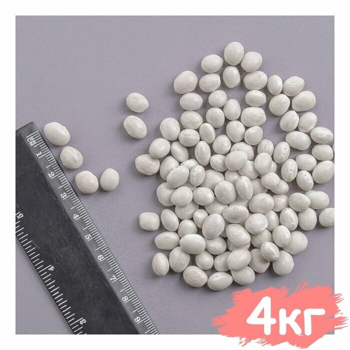 Фасоль Белая сахарная 4 000 гр, 4 кг, Фасоль белая, Фасоль очищенная натуральная, Вегетарианский продукт, Vegan