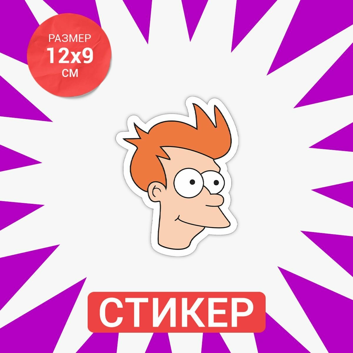 Наклейка Футурама Фрай 12x9