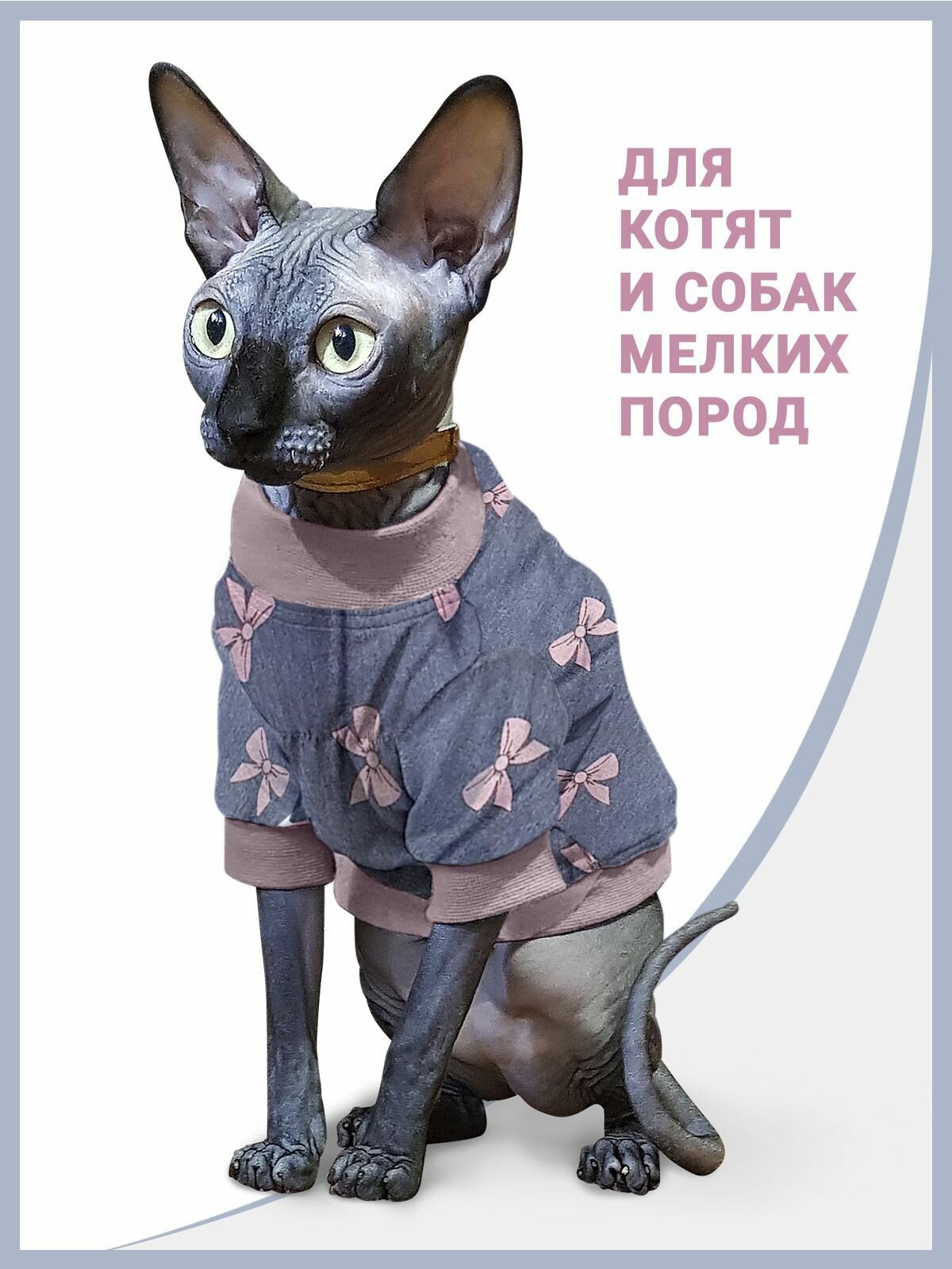Футболка для кошек и котят Бантик / Одежда для кошек сфинкс