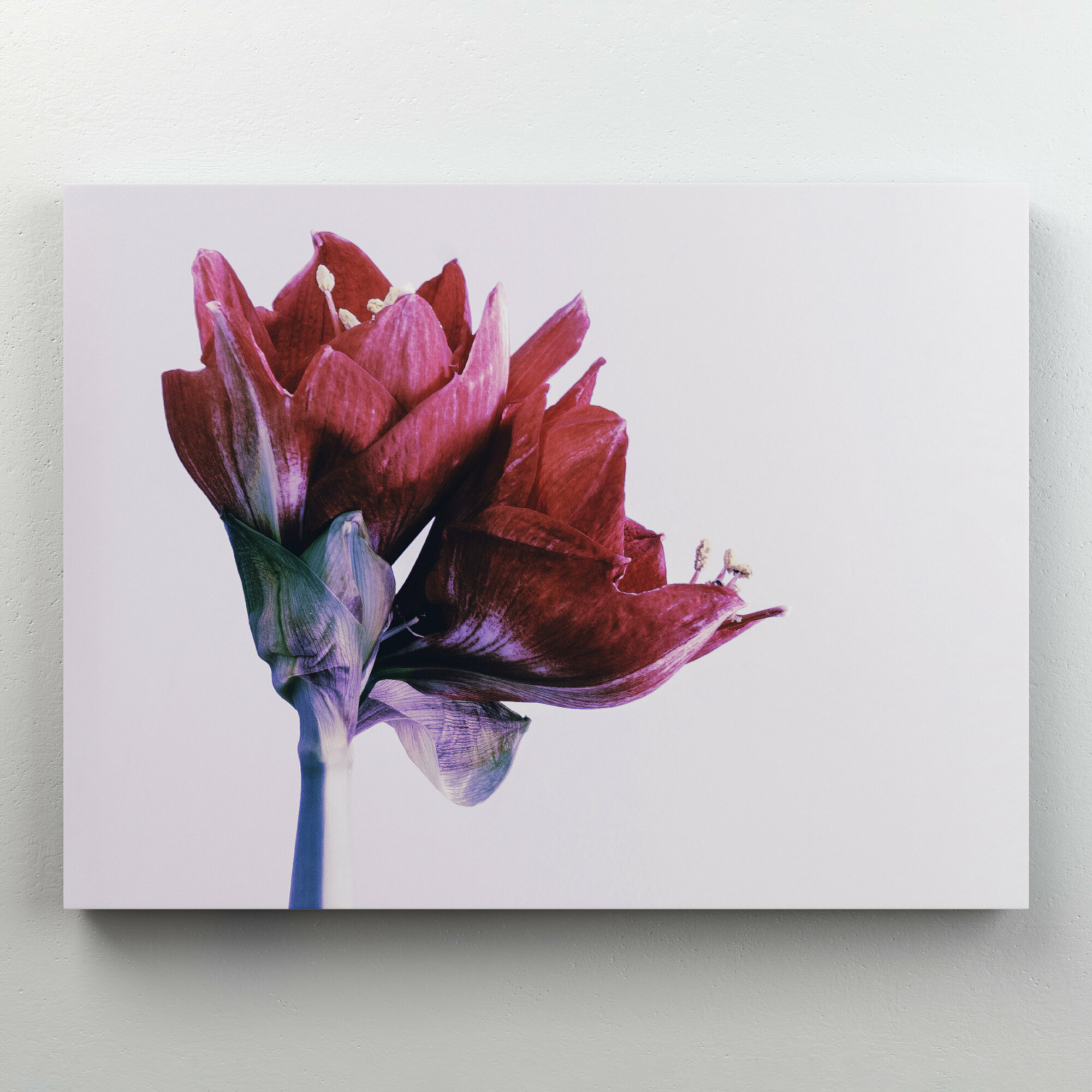 Интерьерная картина на холсте "Экзотический цветок" растения, размер 60x45 см