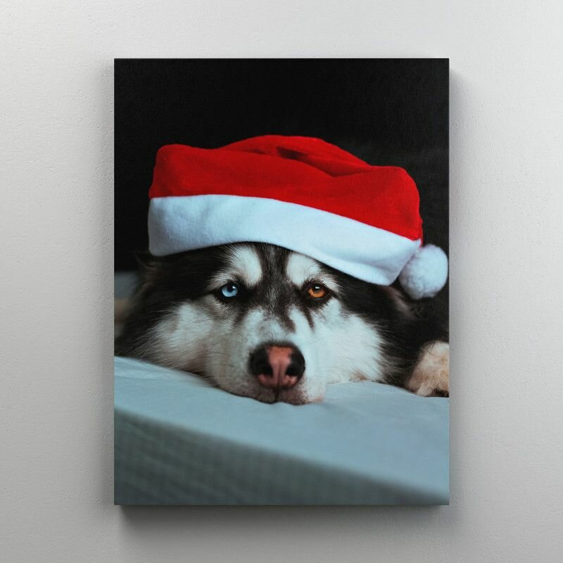 Интерьерная картина на холсте "Постер на новый год - Хаски Санта Клаус" размер 45x60 см