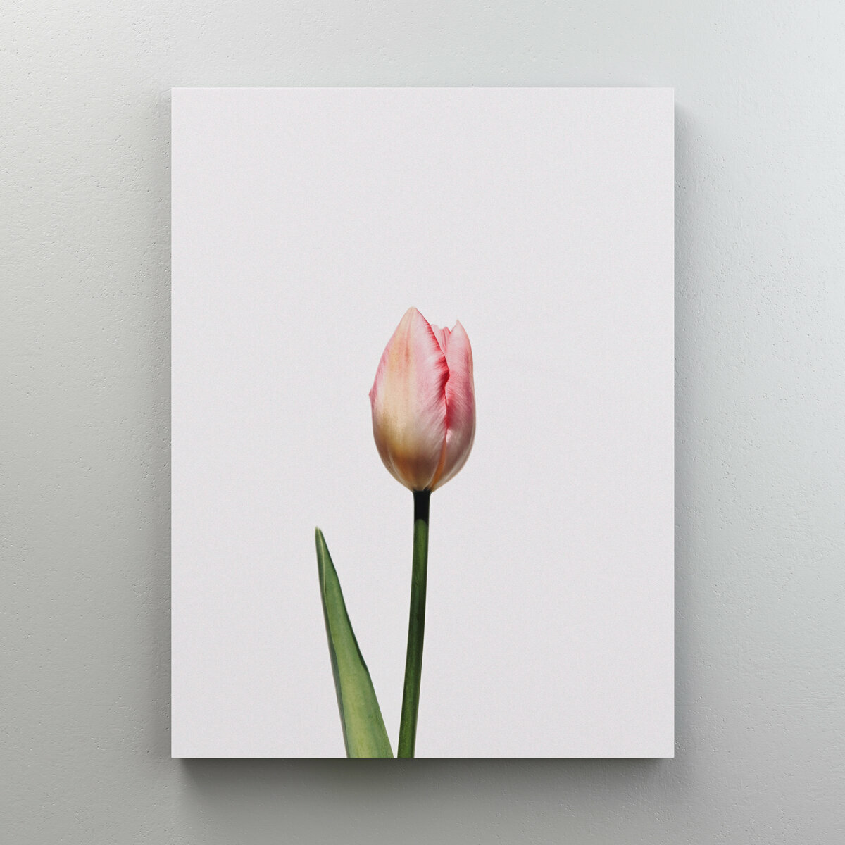 Интерьерная картина на холсте "Бутон тюльпана" в скандинавском стиле, размер 22x30 см