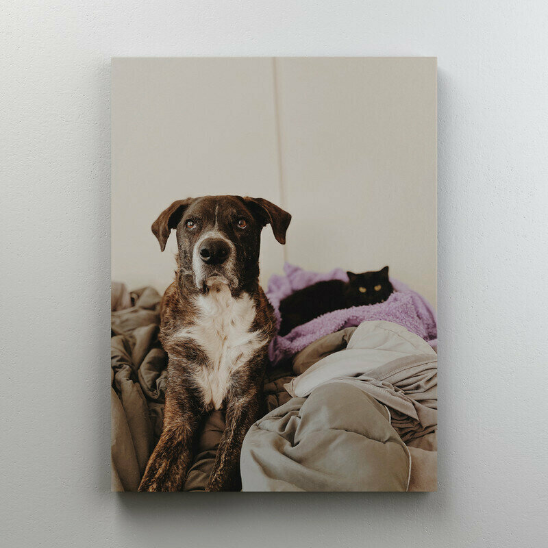 Интерьерная картина на холсте "Кот и пес - домашние питомцы" размер 22x30 см