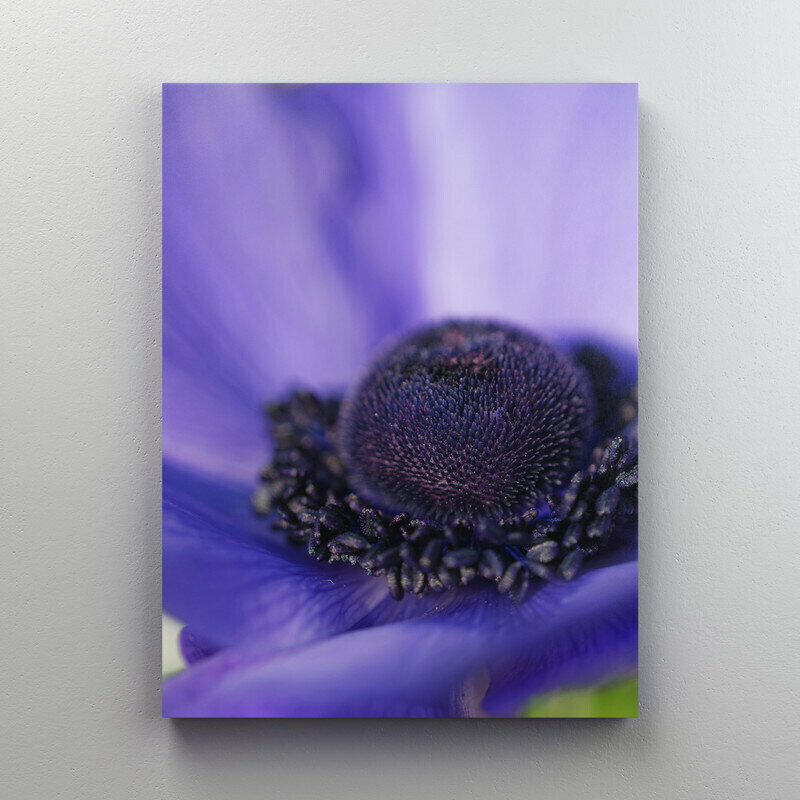Интерьерная картина на холсте "Цветы - синяя анемона" размер 22x30 см