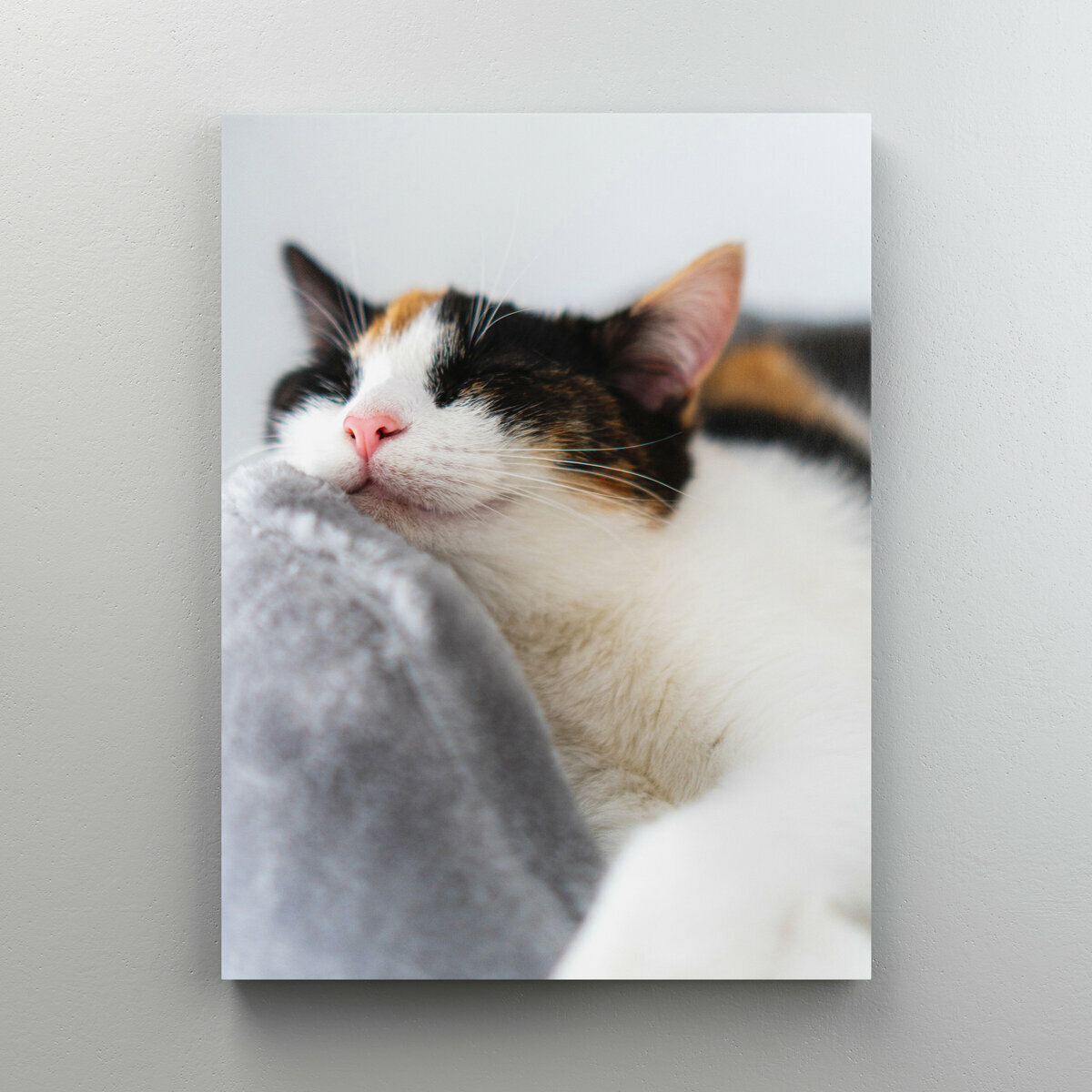 Интерьерная картина на холсте "Мурчащий кот" животные, размер 22x30 см