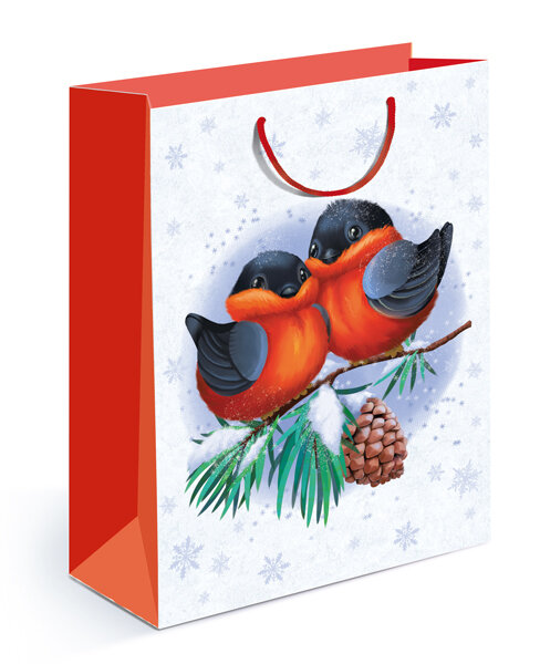 15.16.01575 Пакет подарочный (ML) снегири