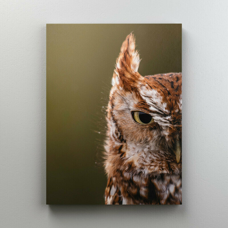 Интерьерная картина на холсте "Сова охотится №2" размер 22x30 см