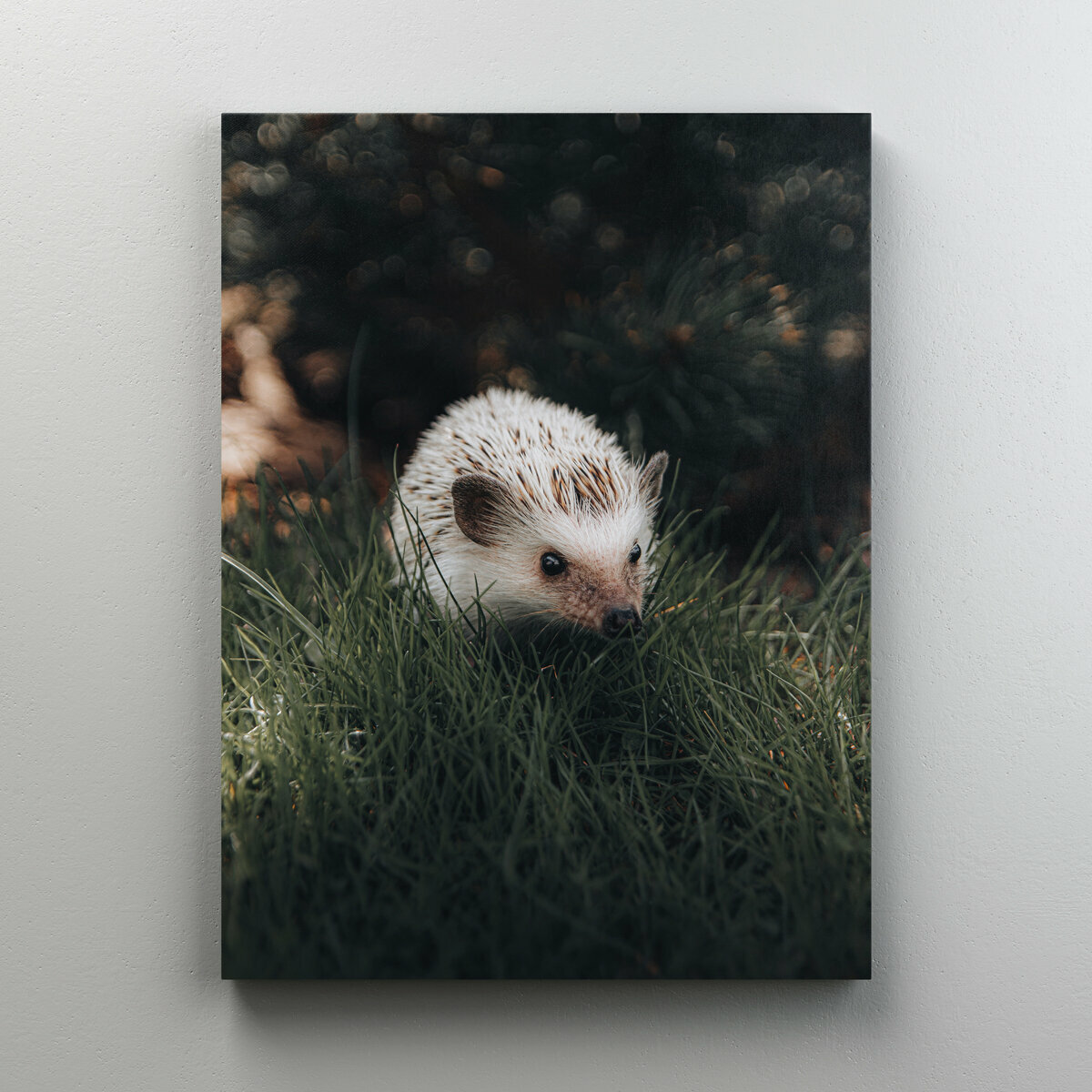 Интерьерная картина на холсте "Белый ежик в траве" животные, размер 22x30 см