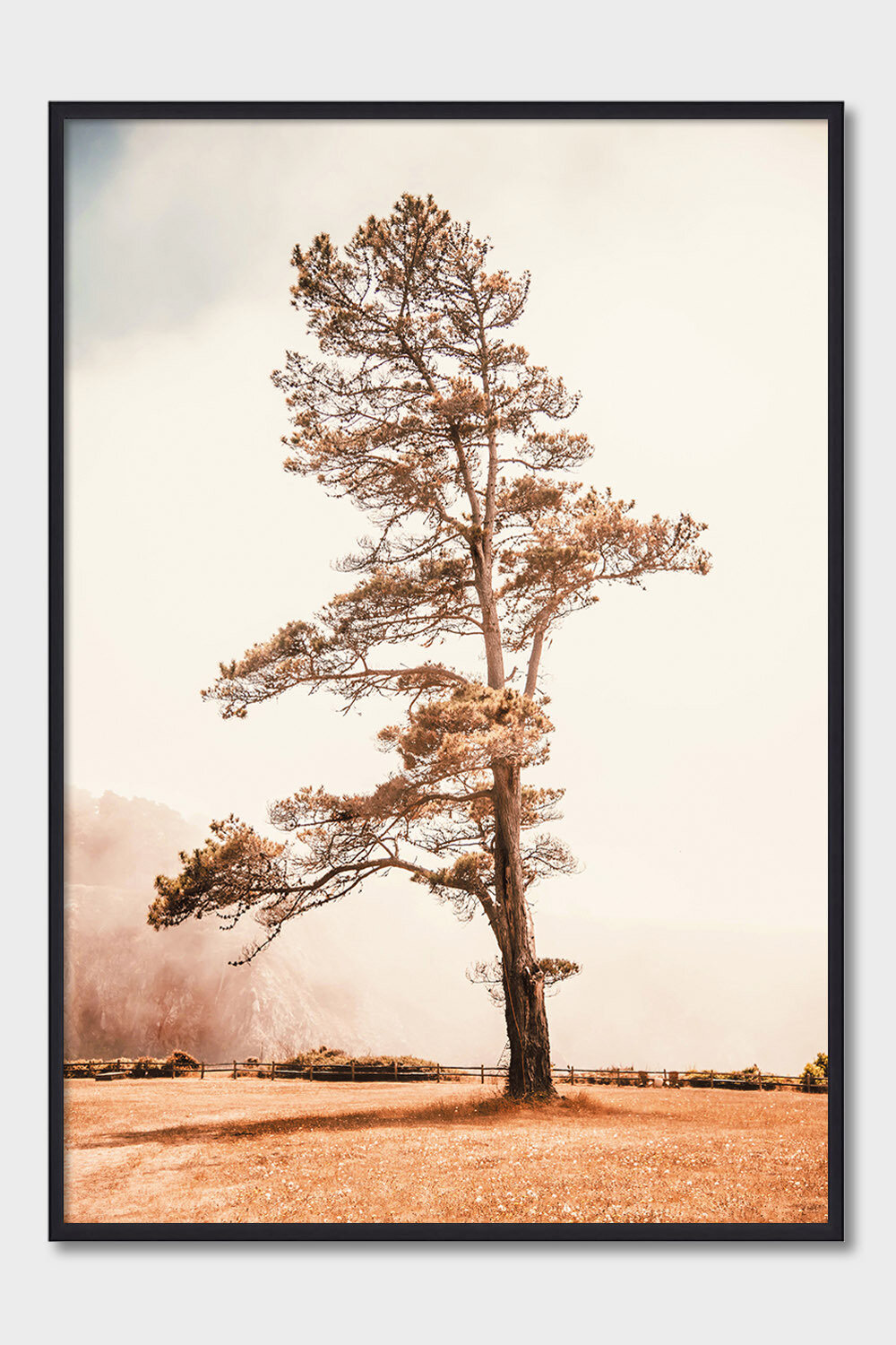 Постер для интерьера Postermarkt Дерево в поле, 30х40 см в черной рамке