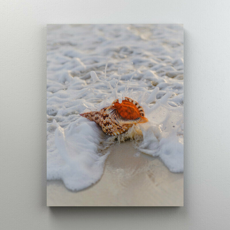 Интерьерная картина на холсте "Ракушка в пенных волнах" размер 22x30 см
