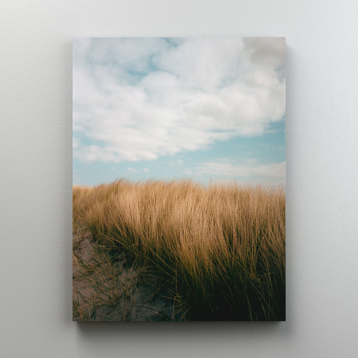 Интерьерная картина на холсте "Кустарники на пляже" пейзаж, природа, размер 22x30 см