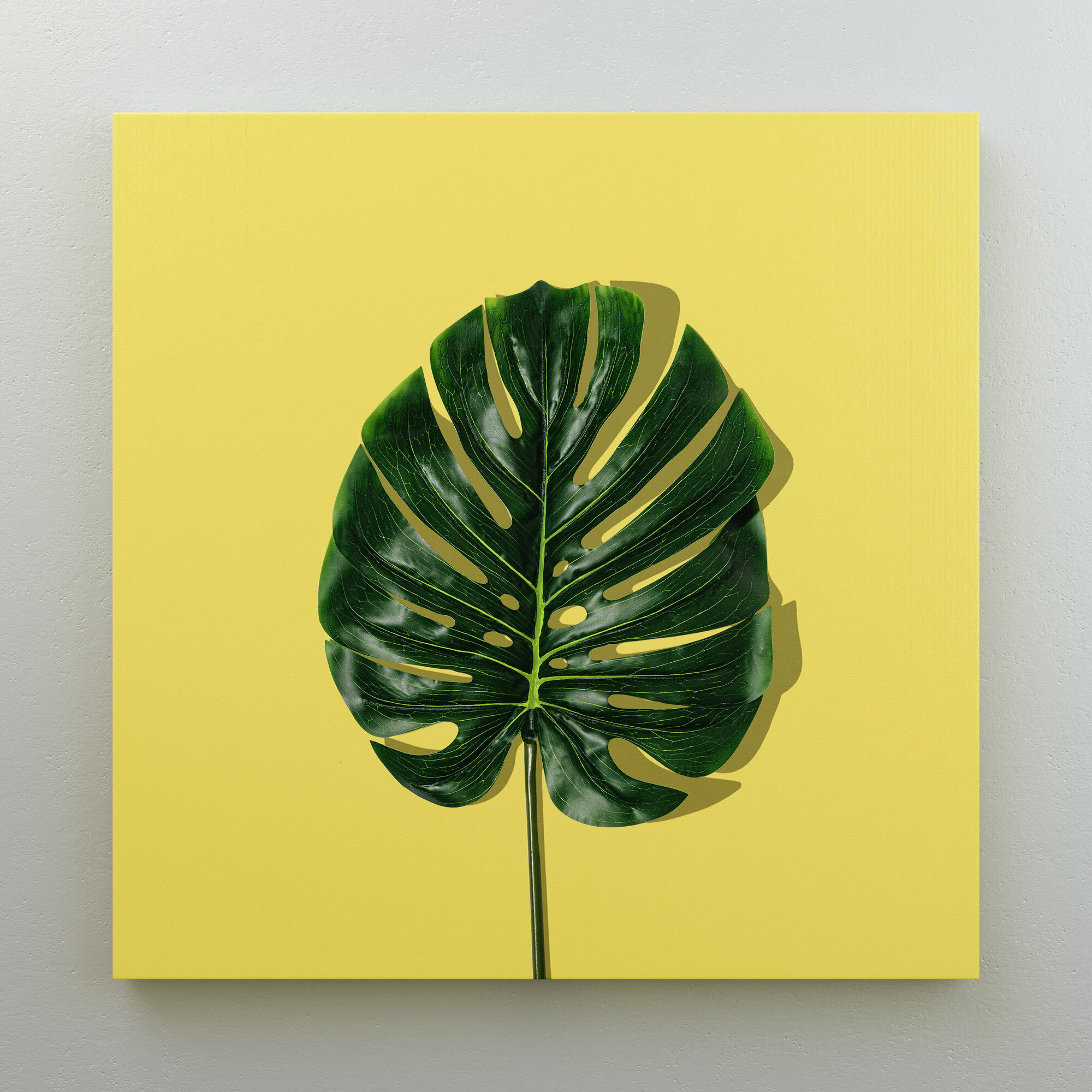 Интерьерная картина на холсте "Лист монстеры на желтом фоне" растения, размер 60x60 см