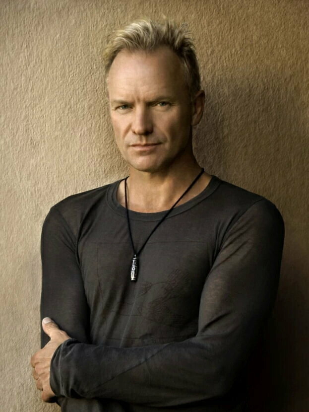 Плакат, постер Sting, Стинг на бумаге, размер 21х30см
