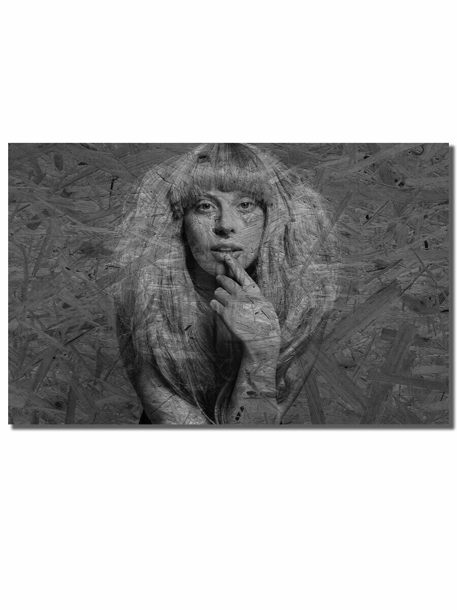 Картина интерьерная на рельефной доске, рисунок музыка леди гага lady gaga - 5367 Г